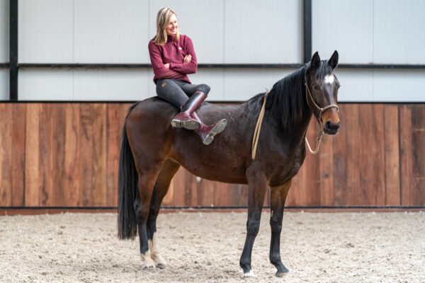 Groundwork & Riding – Feather Light Academy