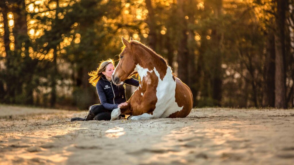 Feather Light Academy – Online Horse Training, Problem Solving, Young ...